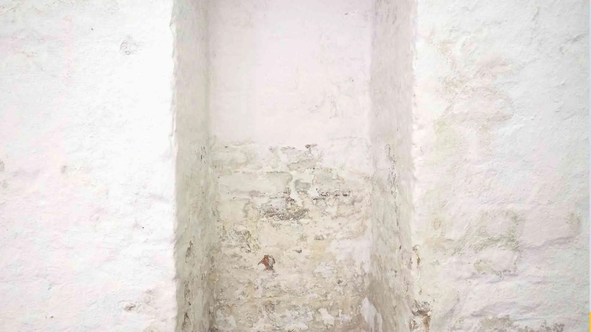 Cara Mengatasi Tembok Lembab Hyarta